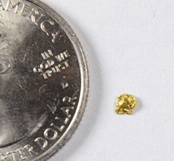 Alaskan Gold Nugget Genuine Yukon Small 22k .06g Fine – rocksolidfossils